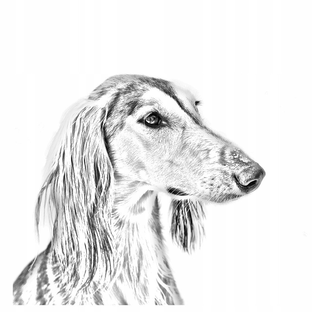 Ac de cravata barbati, Metal, Model catel, Argintiu - eMAG.ro