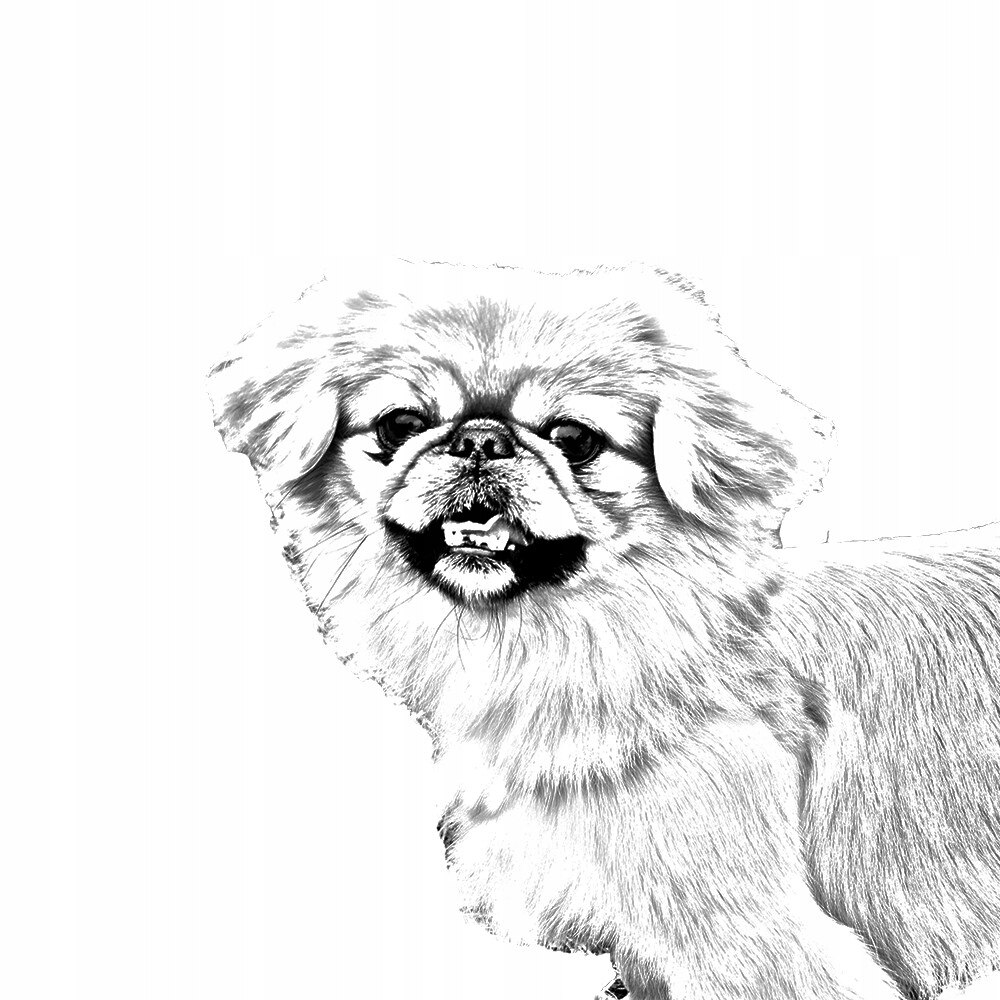 Ac de cravata barbati, Metal, Model catel, Argintiu - eMAG.ro