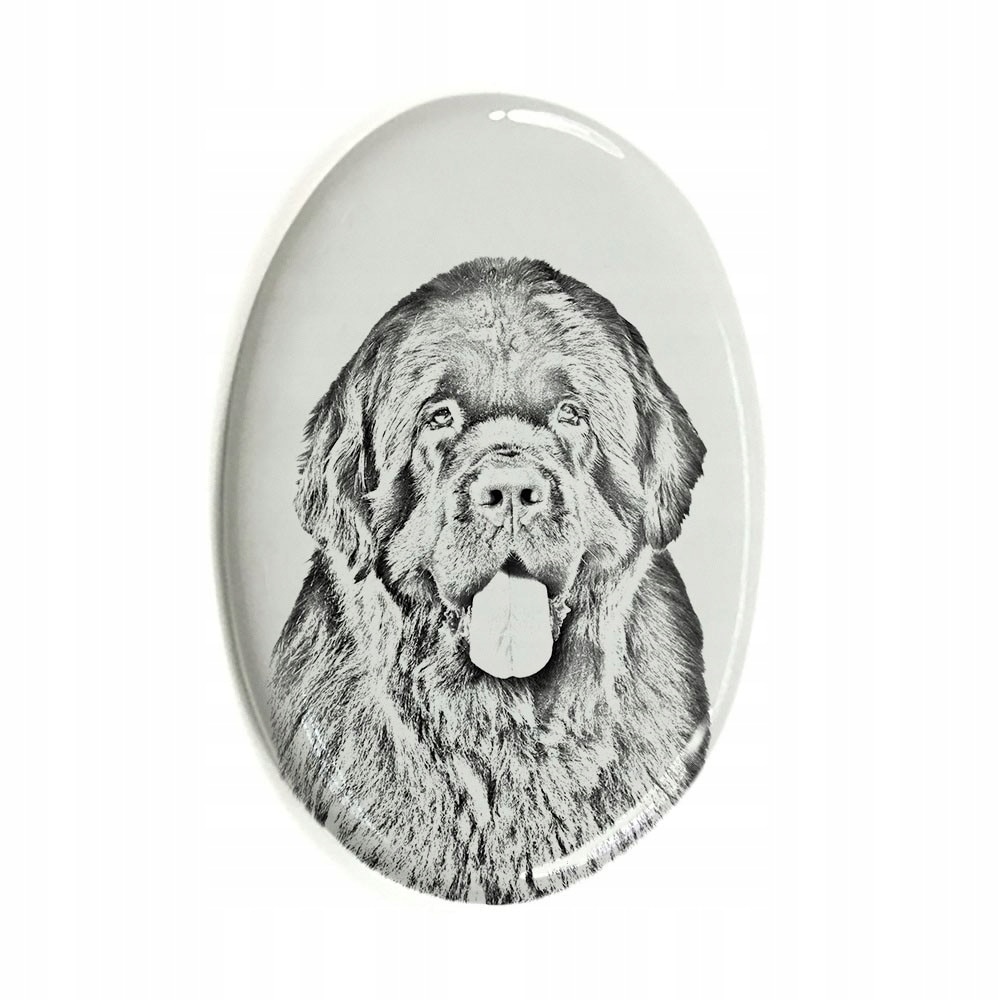 Piatra funerara animal de comapanie, Caine Newfoundlander - eMAG.ro