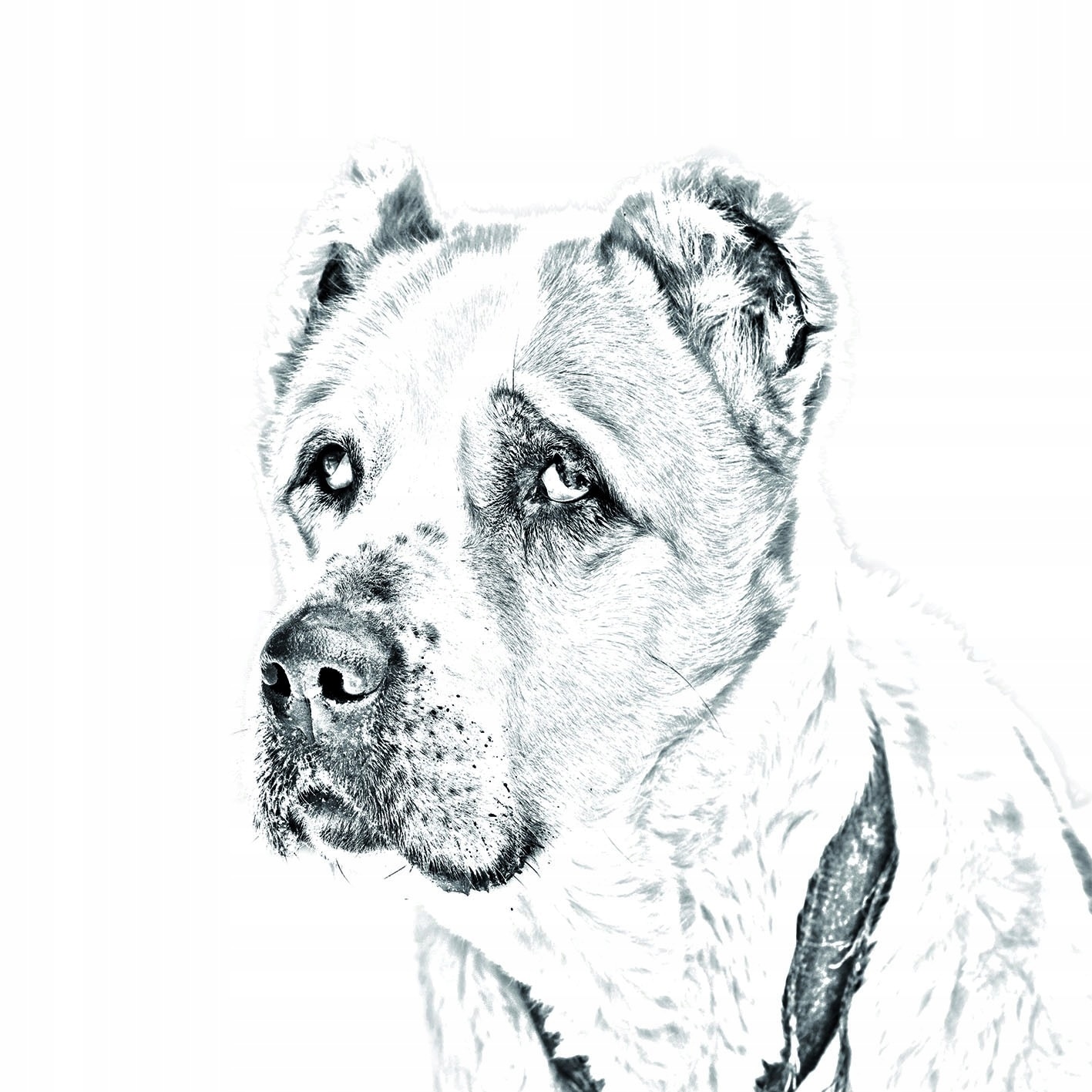 Suport pentru pixuri, Lemn, Maro - eMAG.ro