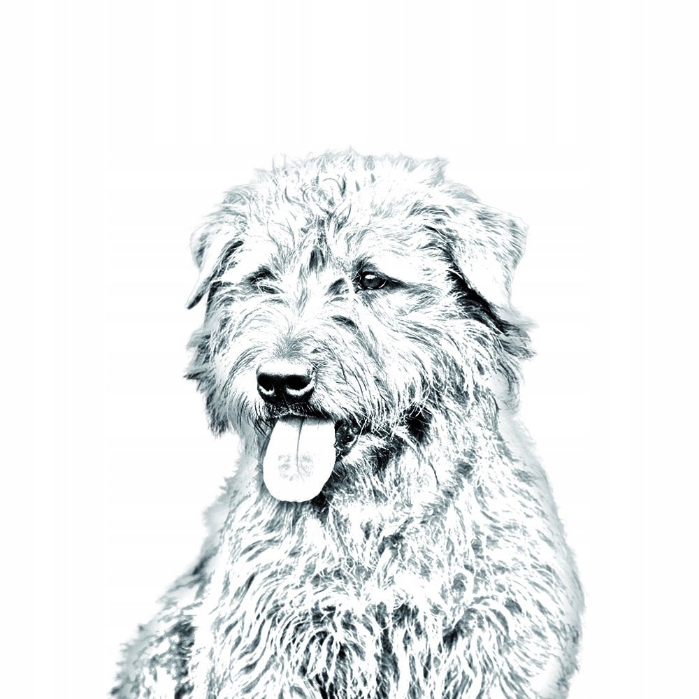 Oglinda de buzunar, Art-Dog, Metal, Model catel, 70 x 55 mm, Alb ...