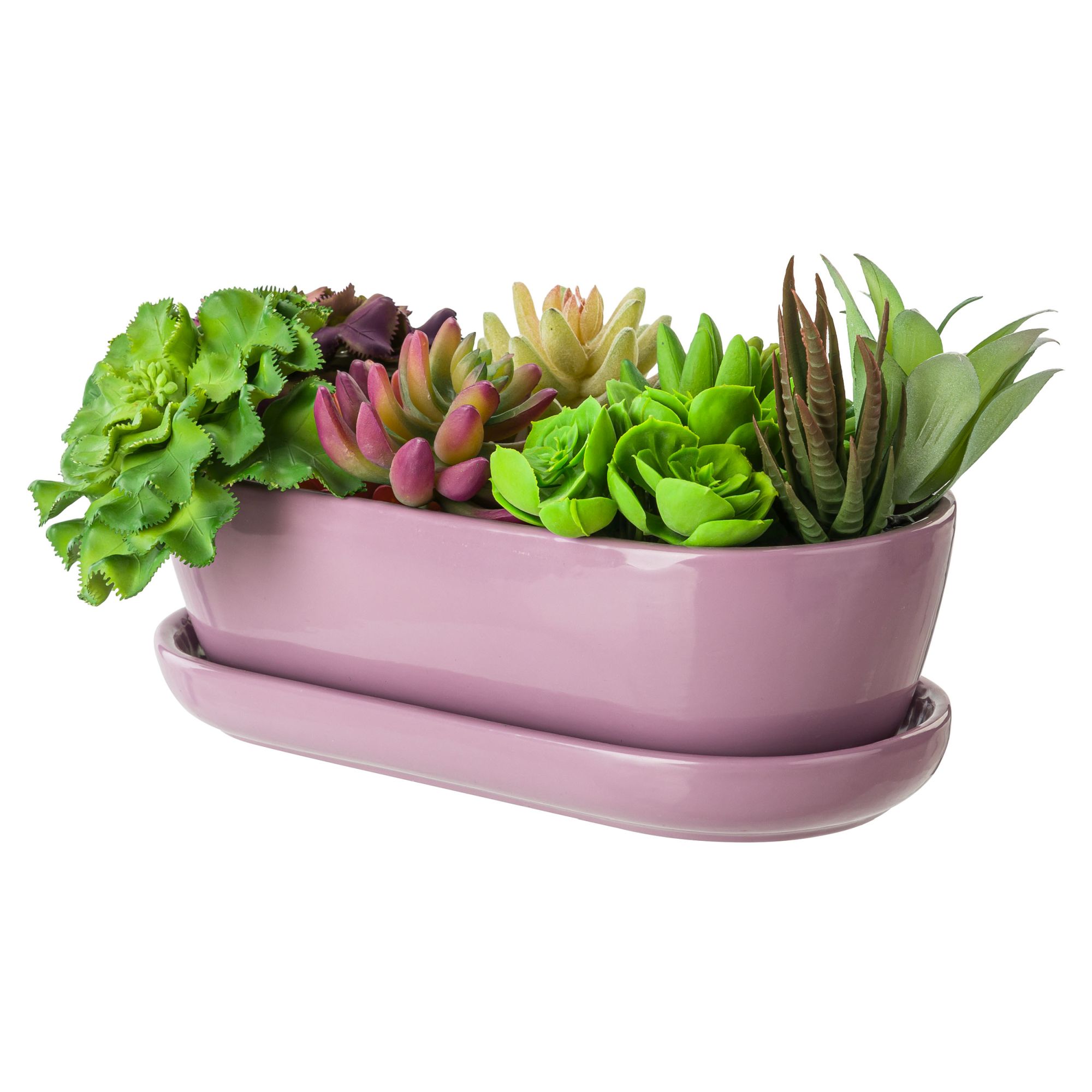 Ghiveci pentru cactus, Ceramica, 27.5 cm, Roz - eMAG.ro