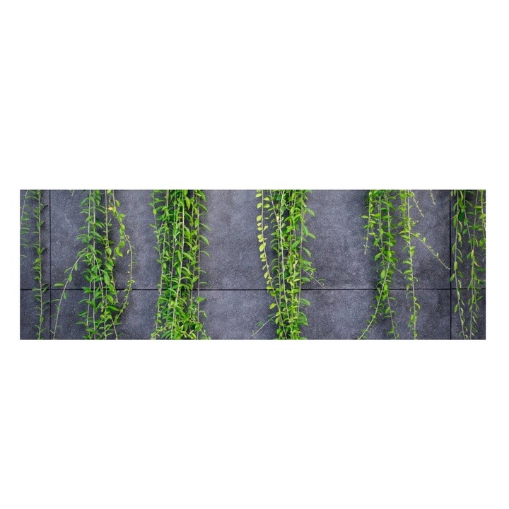 Set 2 panouri sticla bucatarie, Decorativ, Anti-stropi, Sticla ...