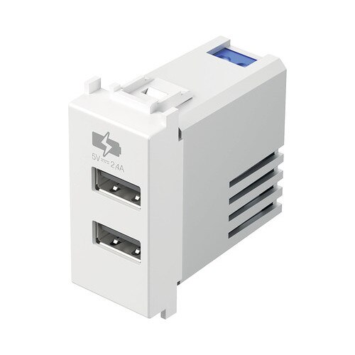 Priza Usb Dubla Tem Max. 2400 Mah, 1 Modul, Alba - eMAG.ro