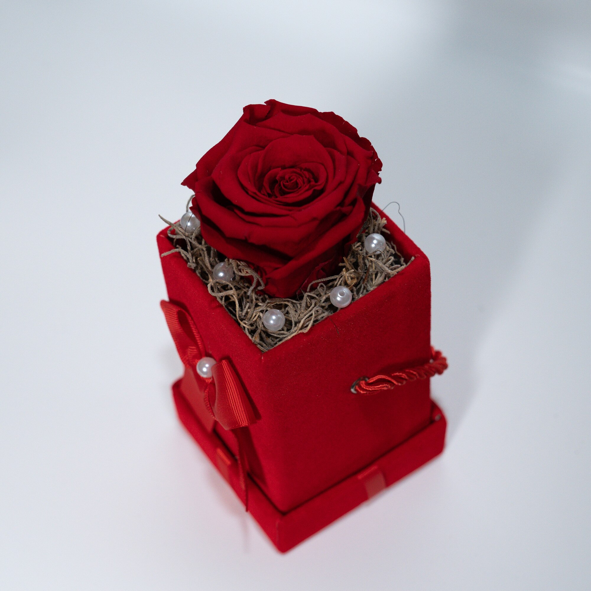 Trandafir criogenat pe pat de Tillandsia in cutie dreptunghiulara din ...