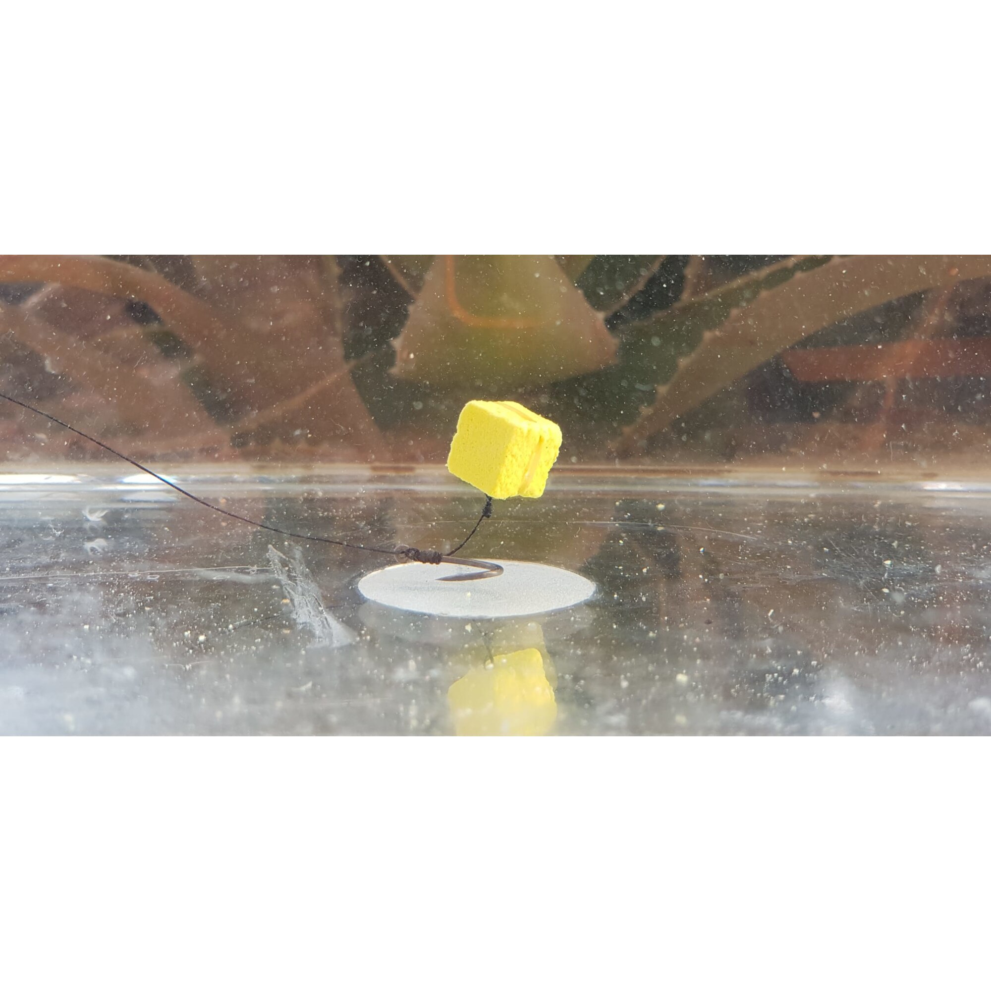 Wild Cube Wafters, ADP Baits, Porumb si Parmezan, 8-10 mm - eMAG.ro