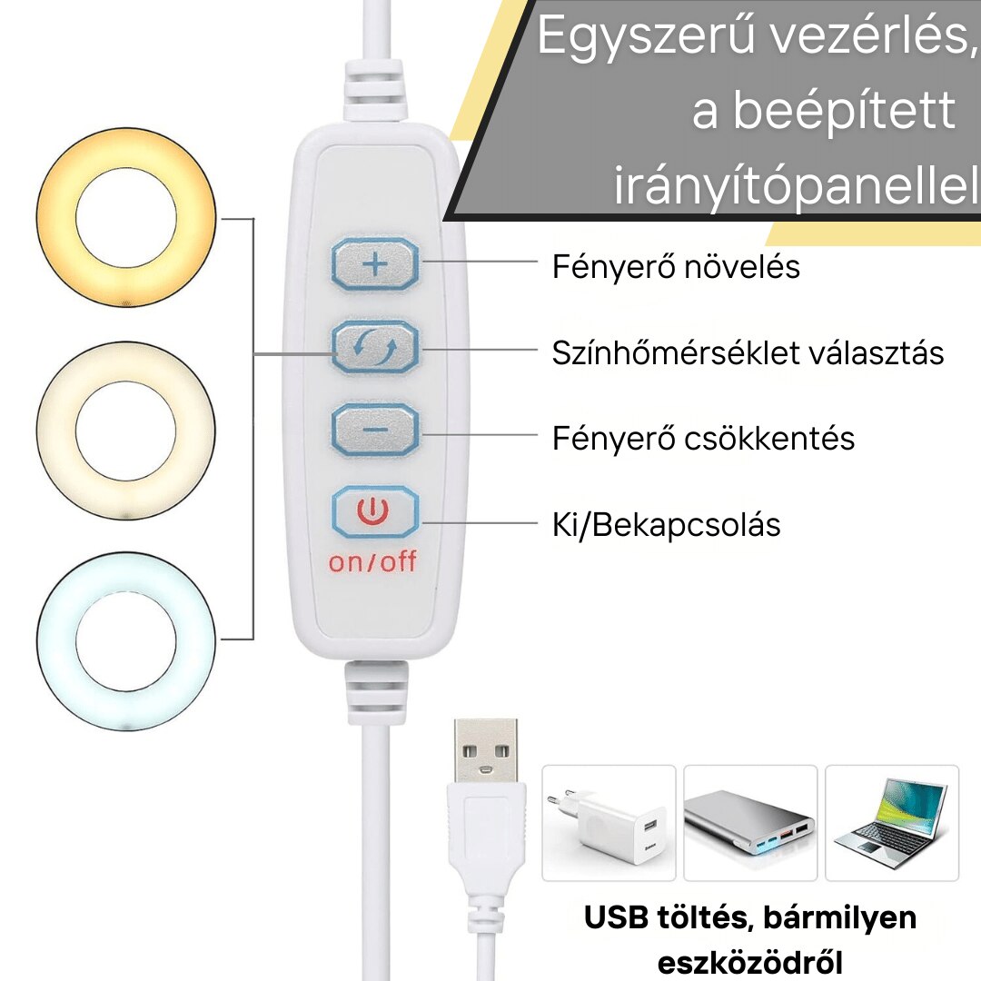 Lumina circulara reglabila cu clips, Metal, cu conexiune USB, Argintiu ...