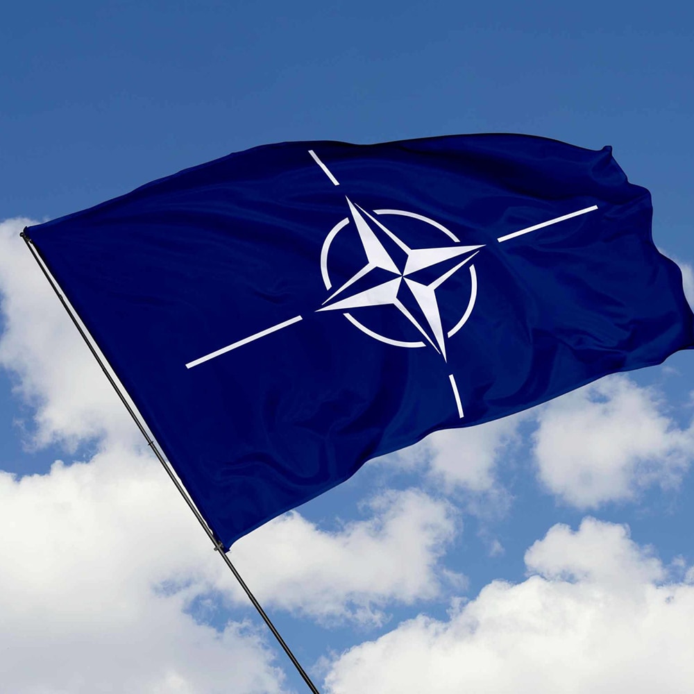 Steag NATO, dimensiune 150x90cm, poliester, Vision XXI - eMAG.ro