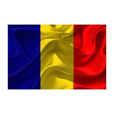 Steag Romania, dimensiune 150x90cm, poliester, Vision XXI - eMAG.ro