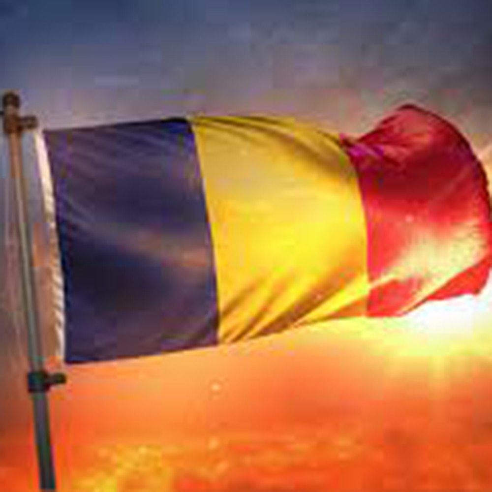 Steag Romania, dimensiune 150x90cm, poliester, Vision XXI - eMAG.ro