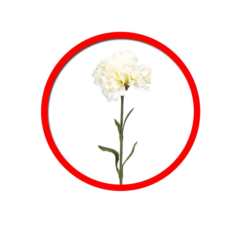 Floare decorativa artificiala, Garoafa, Alb, 62 cm, ATU-082135 - eMAG.ro