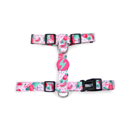 Ham pentru caini, Dashi Flamingo, Reglabil, Prindere Spate, Extra Small ...