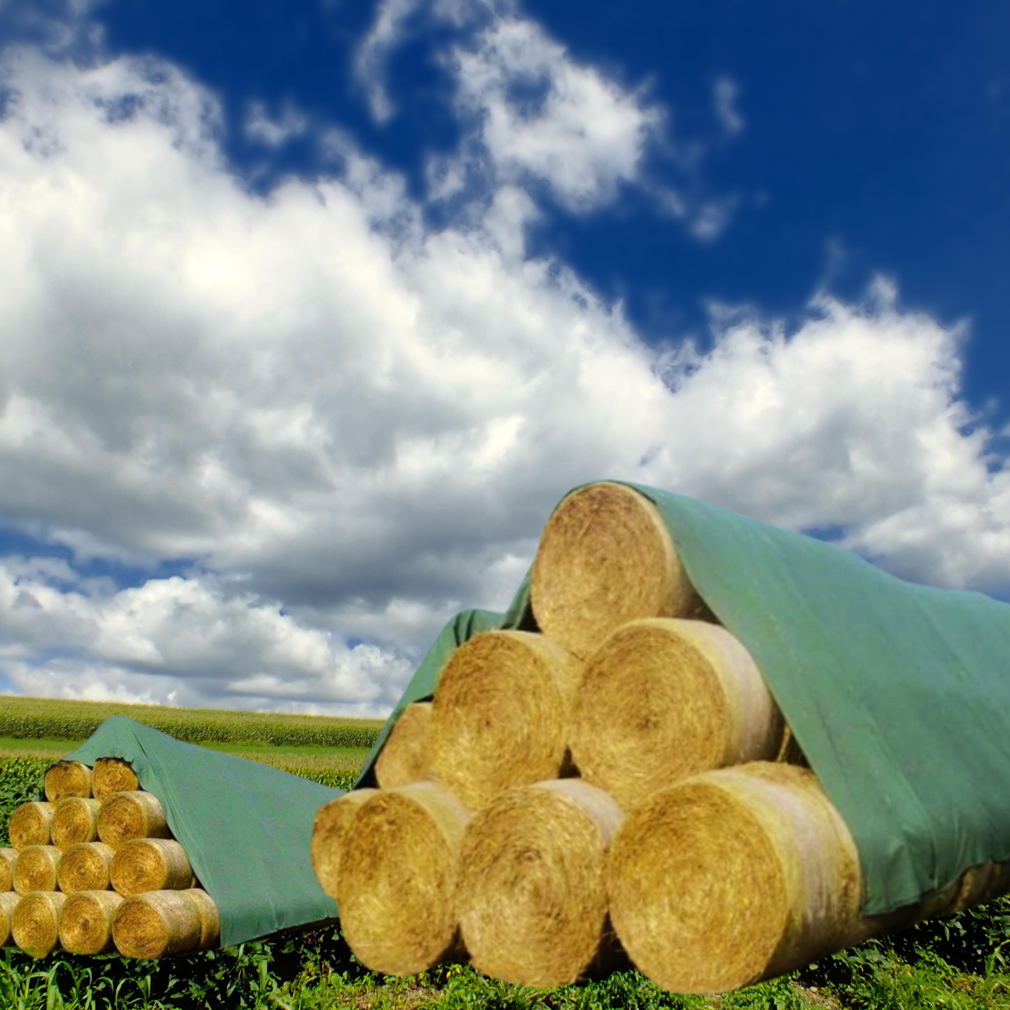 Prelata impermeabila pentru baloti 15.6x12.5ml - eMAG.ro