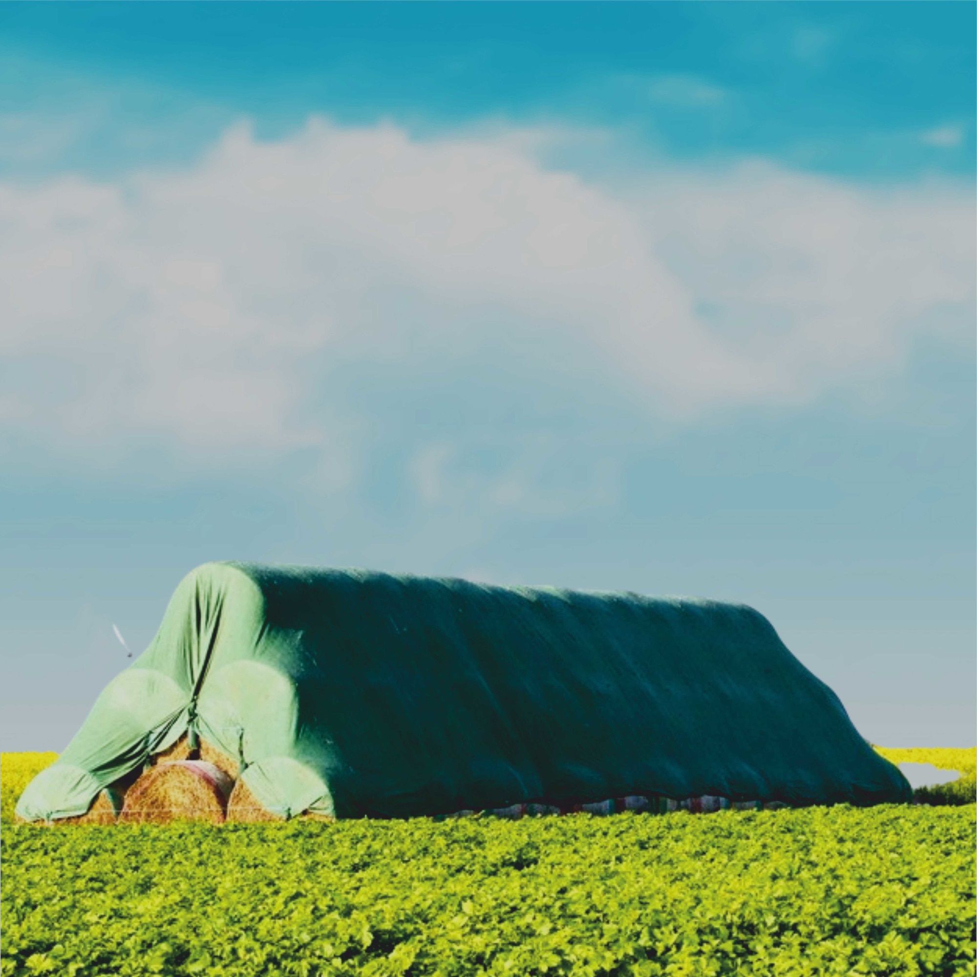 Prelata impermeabila pentru baloti 15.6x12.5ml - eMAG.ro