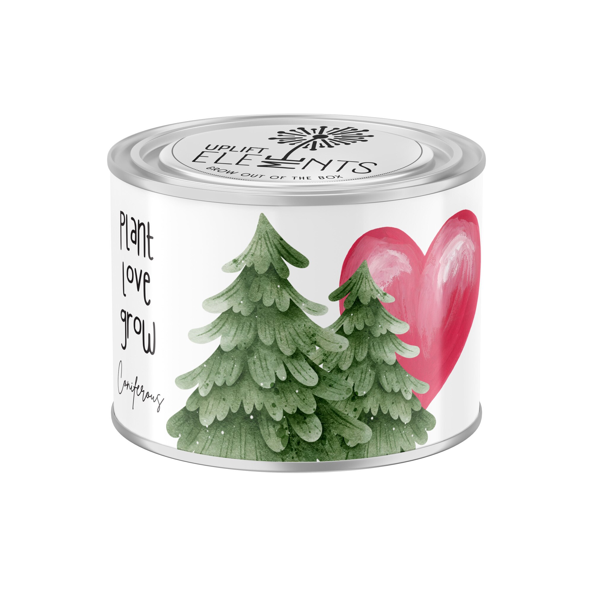 Kit de plantare Uplift, cu seminte de Arbore conifer - eMAG.ro