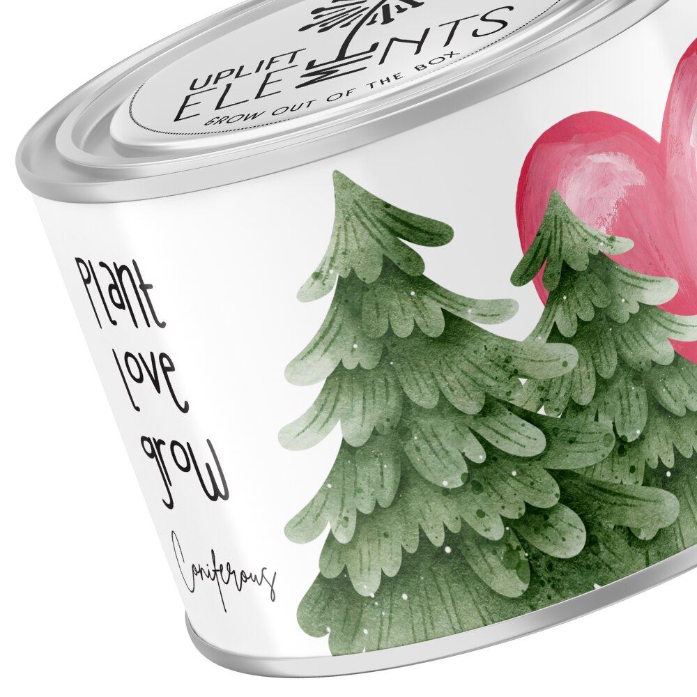 Kit de plantare Uplift, cu seminte de Arbore conifer - eMAG.ro
