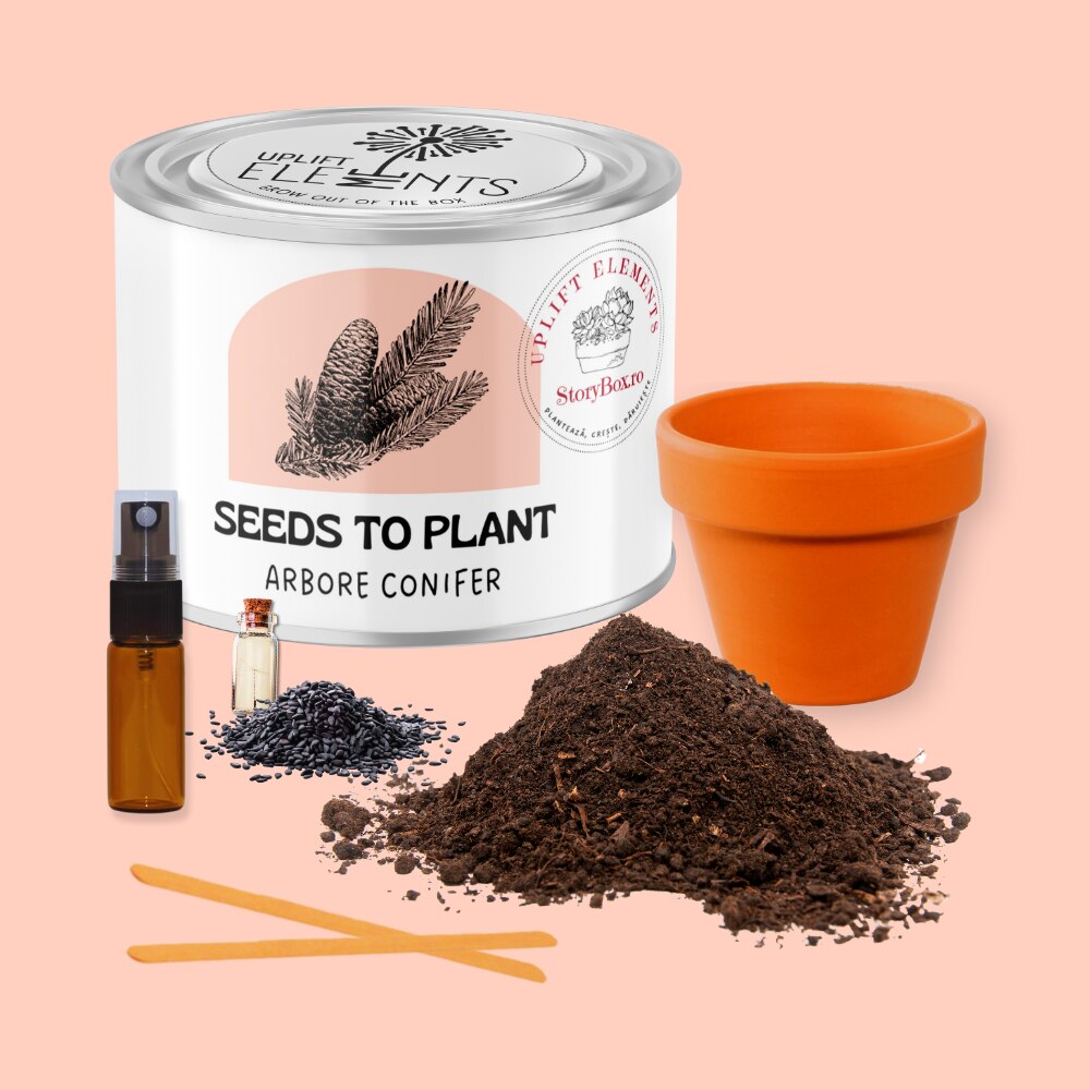 Kit de plantare Uplift, cu seminte de Arbore conifer si ghiveci de ...