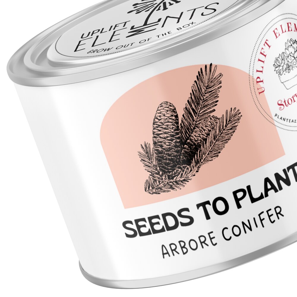 Kit de plantare Uplift, cu seminte de Arbore conifer si ghiveci de ...