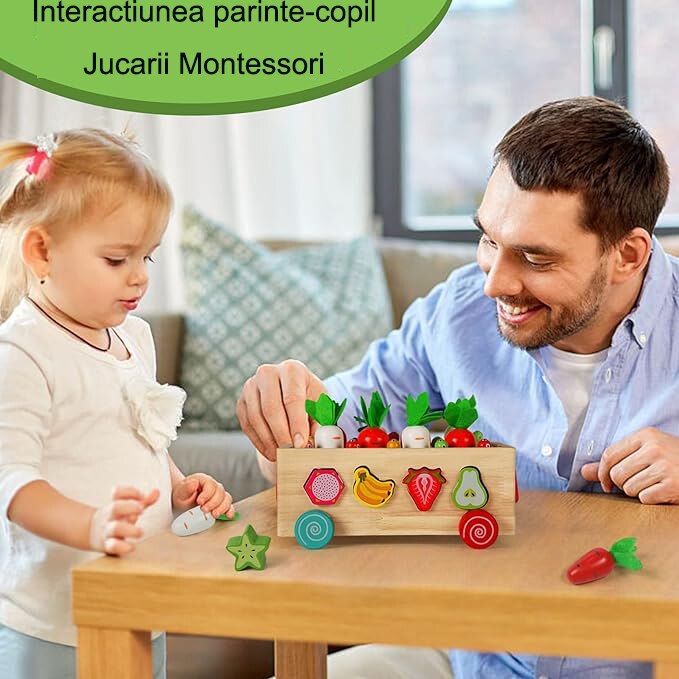 Jucarie Educativa Montessori Din Lemn, Sortare Forme, Multicolor ...