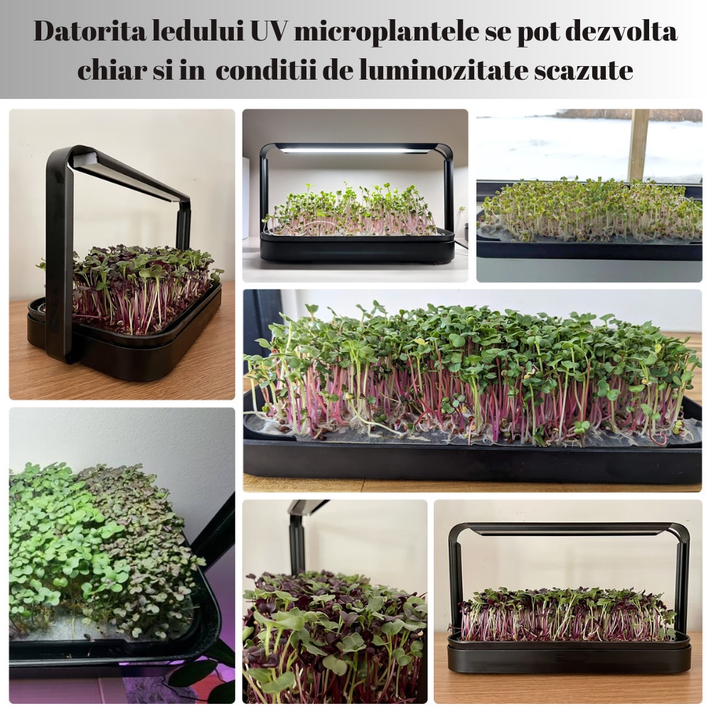 Kit de crestere Microplante si Germeni, tip ghiveci Hidroponic, Lampa ...
