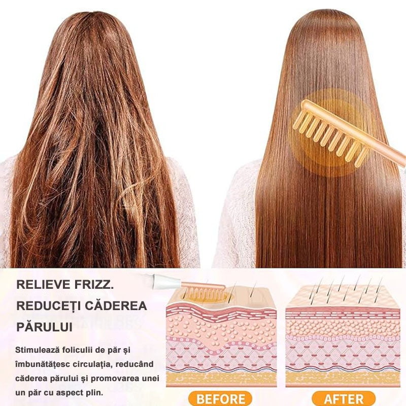 Electroderm cosmetic portabil cu 4 electrozi, Tratament cu Frecventa ...