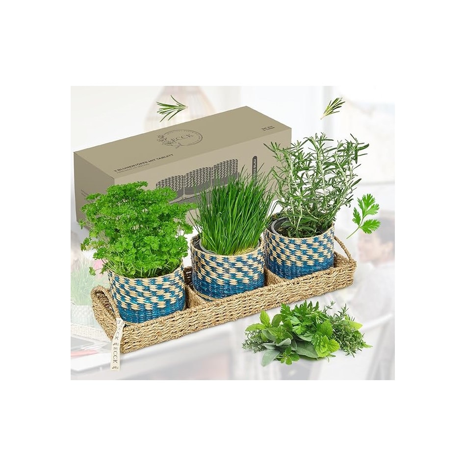 Set 3 ghivece decorative, cu tava inclusa, din ratan natural, pentru ...