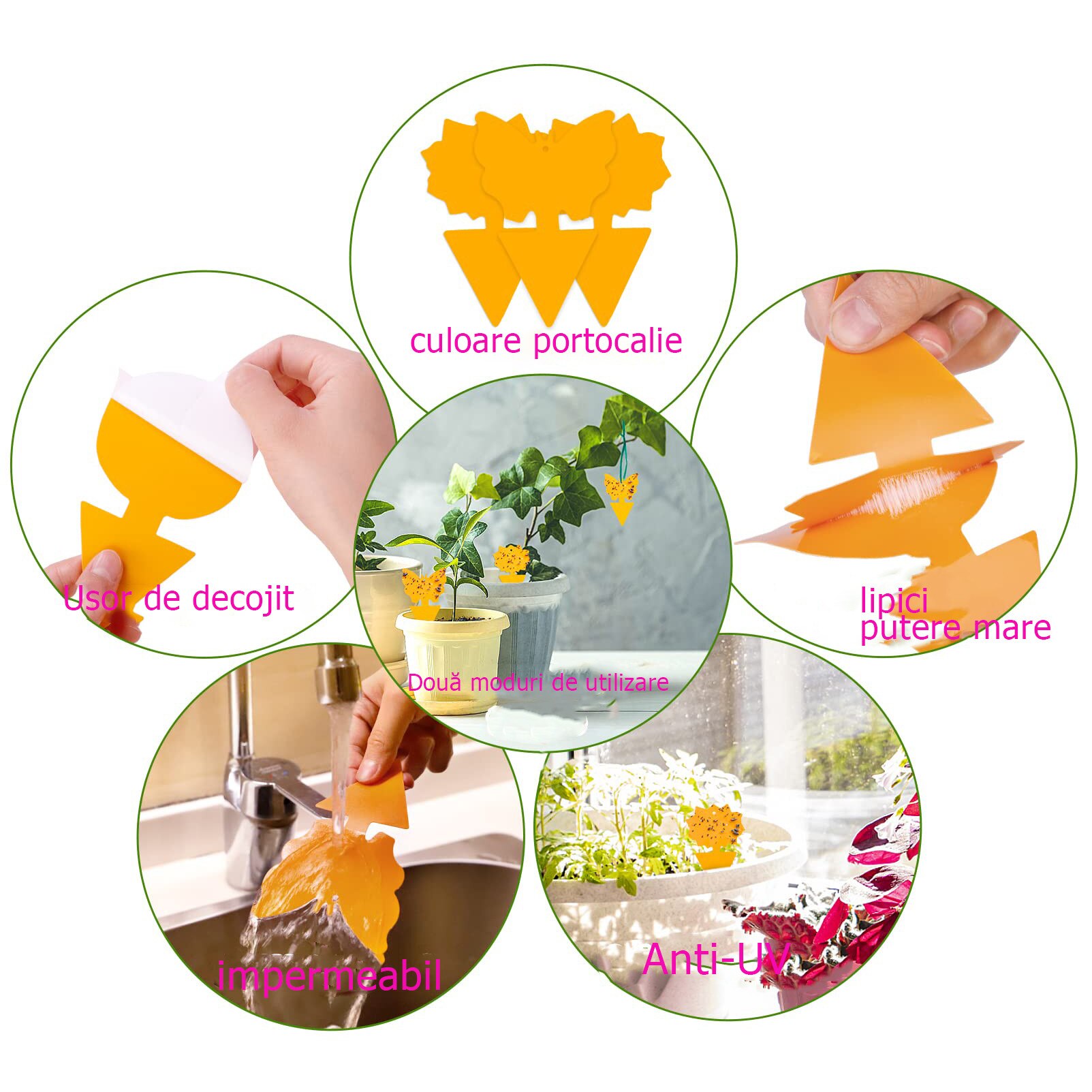 Set 36 capcane pentru mustele din fructe, Adezive, Galben - eMAG.ro