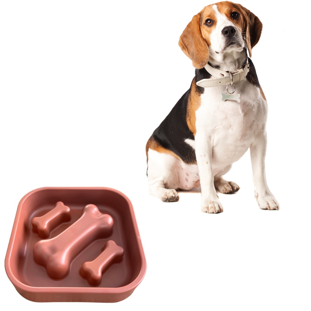 Castron pentru caini, pentru hranire lenta, potrivit pentru prevenirea ...