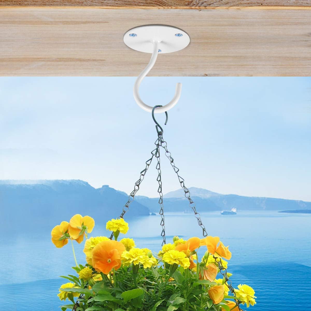 Set carlige de tavan, Pentru plante agatate, Alb - eMAG.ro