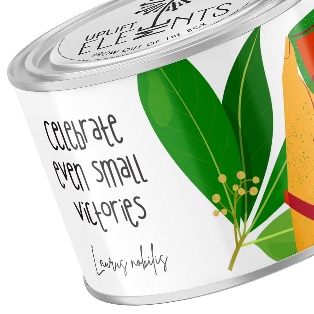 Kit de plantare Uplift, Grow out of the box cu seminte de Dafin - eMAG.ro