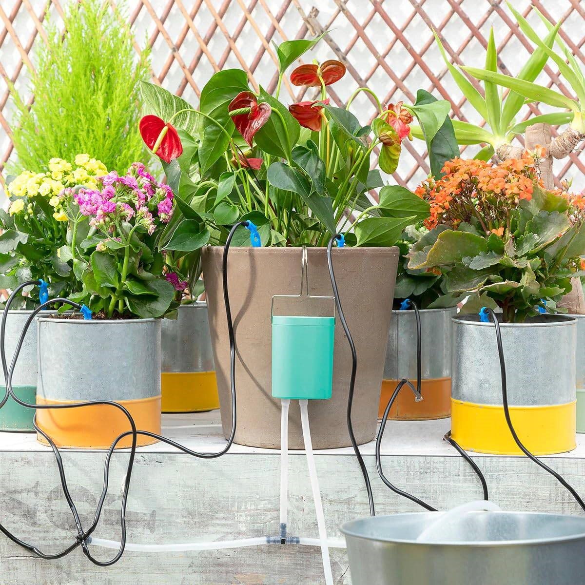 Sistem automat de udare plante, pentru interior, pana la 8 ghivece ...