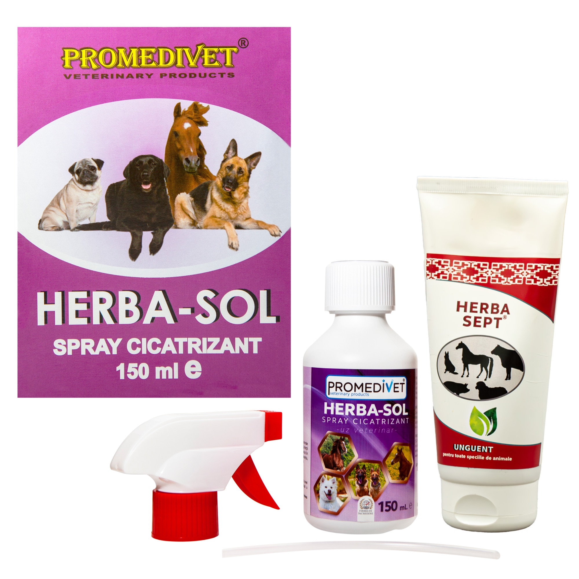 Pachet Cicatrizant Herba Sol Spray, 150 ml si Herba Sept Unguent 150 gr ...