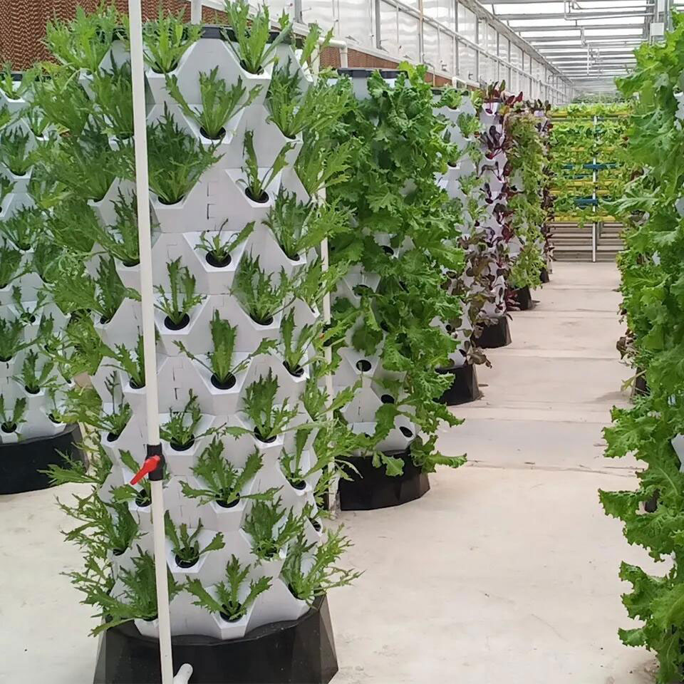 Turn Hydroponic pentru irigare plante cu 80 de spatii, ABS, alb - eMAG.ro