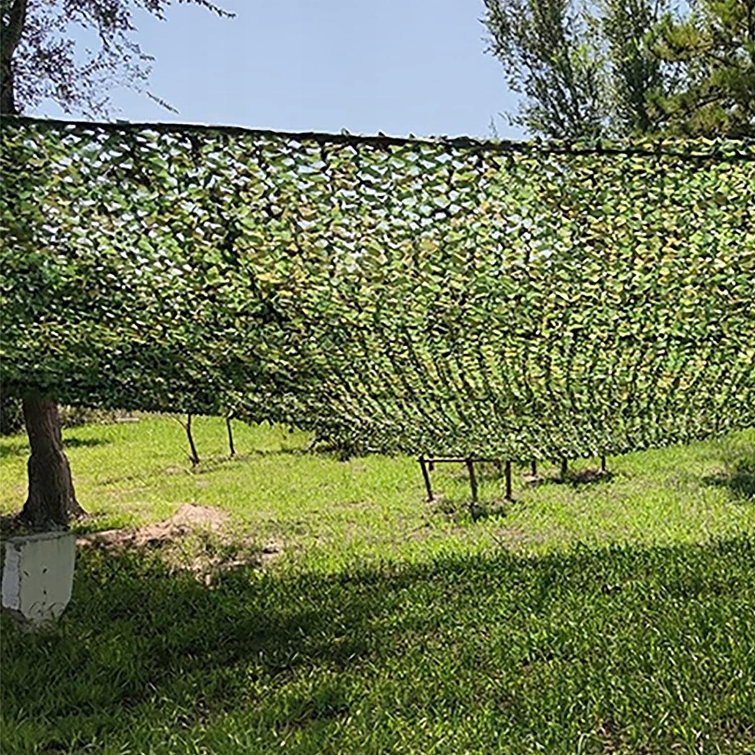 Set plasa camuflaj si funie, Luka, 2x3 m, Verde - eMAG.ro