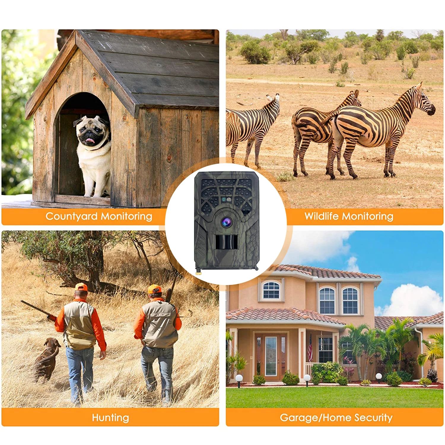 Camera vanatoare Trail, Excitat®, monitorizare fauna salbatica ...