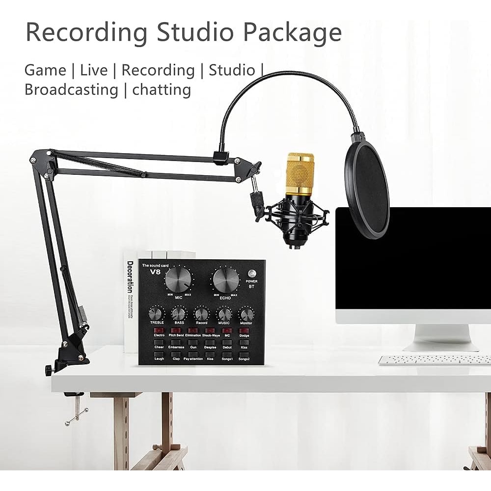 Microfon profesional de studio cu condensator cu suport pentru ...