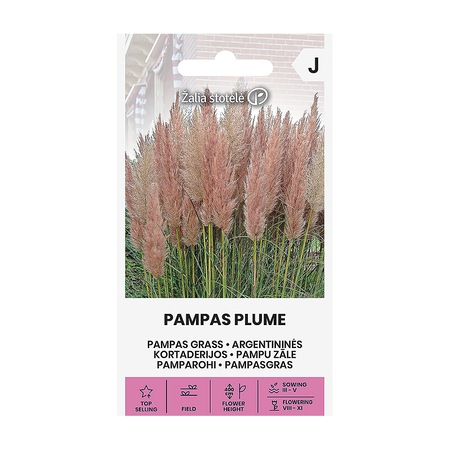 Seminte, Iarba de Pampas Plume Pink, Žalia Stotelė, plic, 0.2 grame ...
