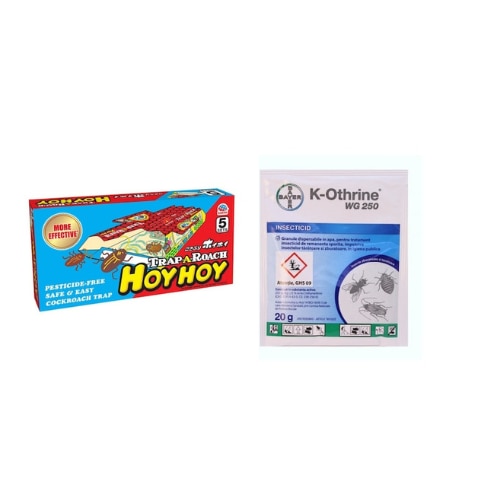 Set Capcana Trap a Roach Casuta Gandaci, Cutie cu 5 Capcane ...