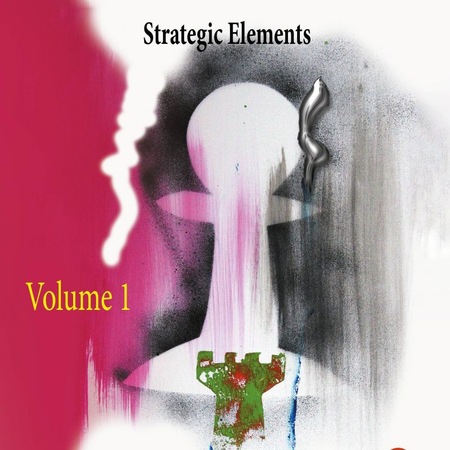 Carte : The Essence of Chess Strategy - Volume 1 : Strategic Elements - Boroljub Zlatanovic ...