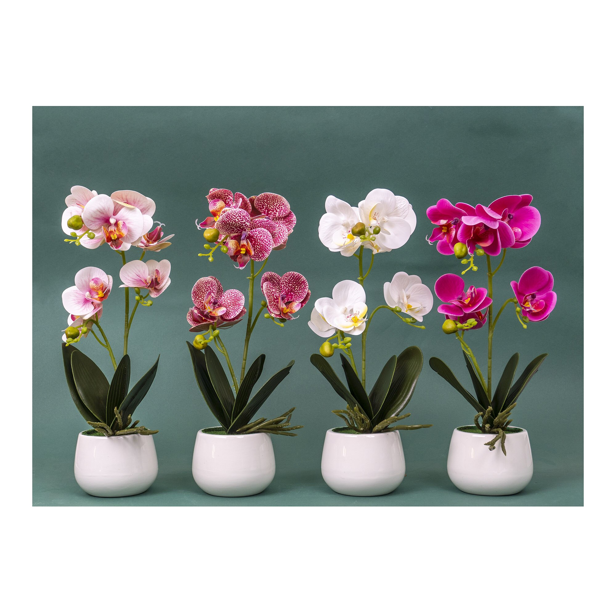 Orhidee cu aspect natural in ghiveci ceramic alb, H 38 cm/ SL265_A ...