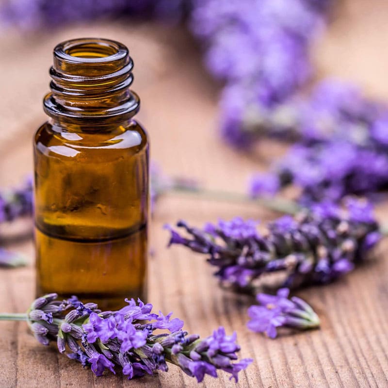 Ulei esential de Lavanda (Lavandulae aetheroleum) 100% pur integral ...