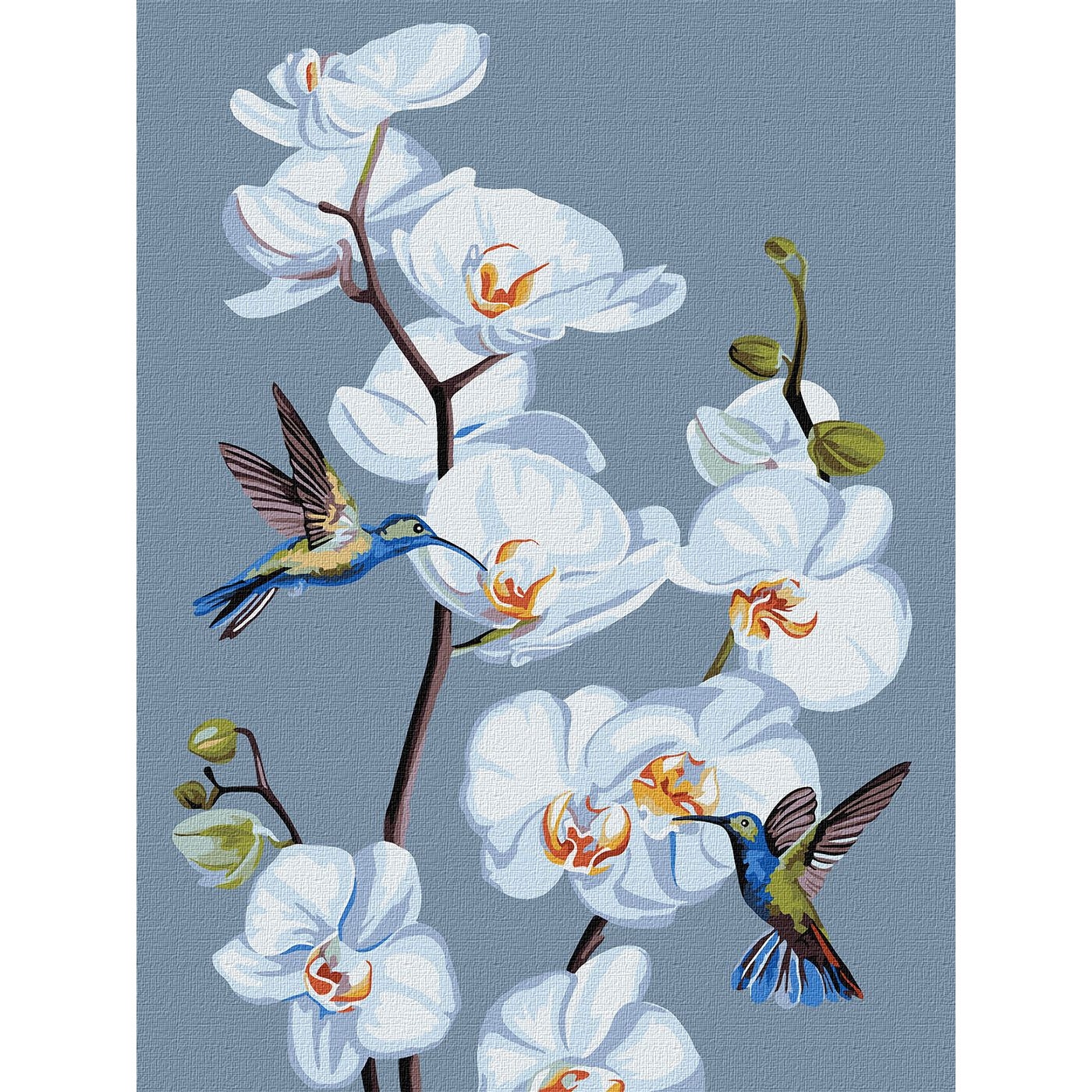 Set pictura pe numere, cu sasiu, Orhidee, 30x40 cm - eMAG.ro