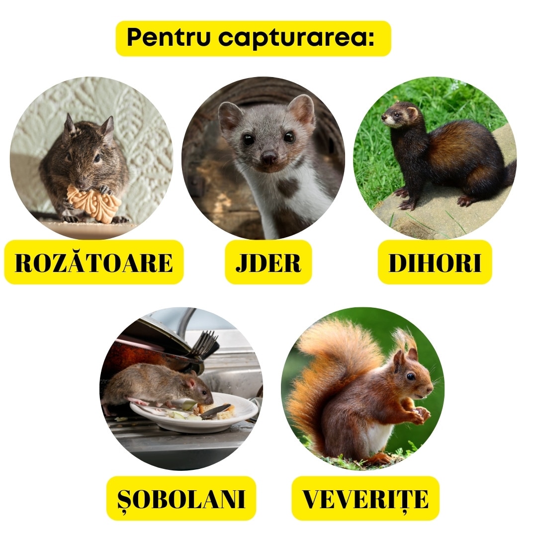 Capcana pentru captura vie Buha©, anti sobolani, dihori, pisici, jderi ...
