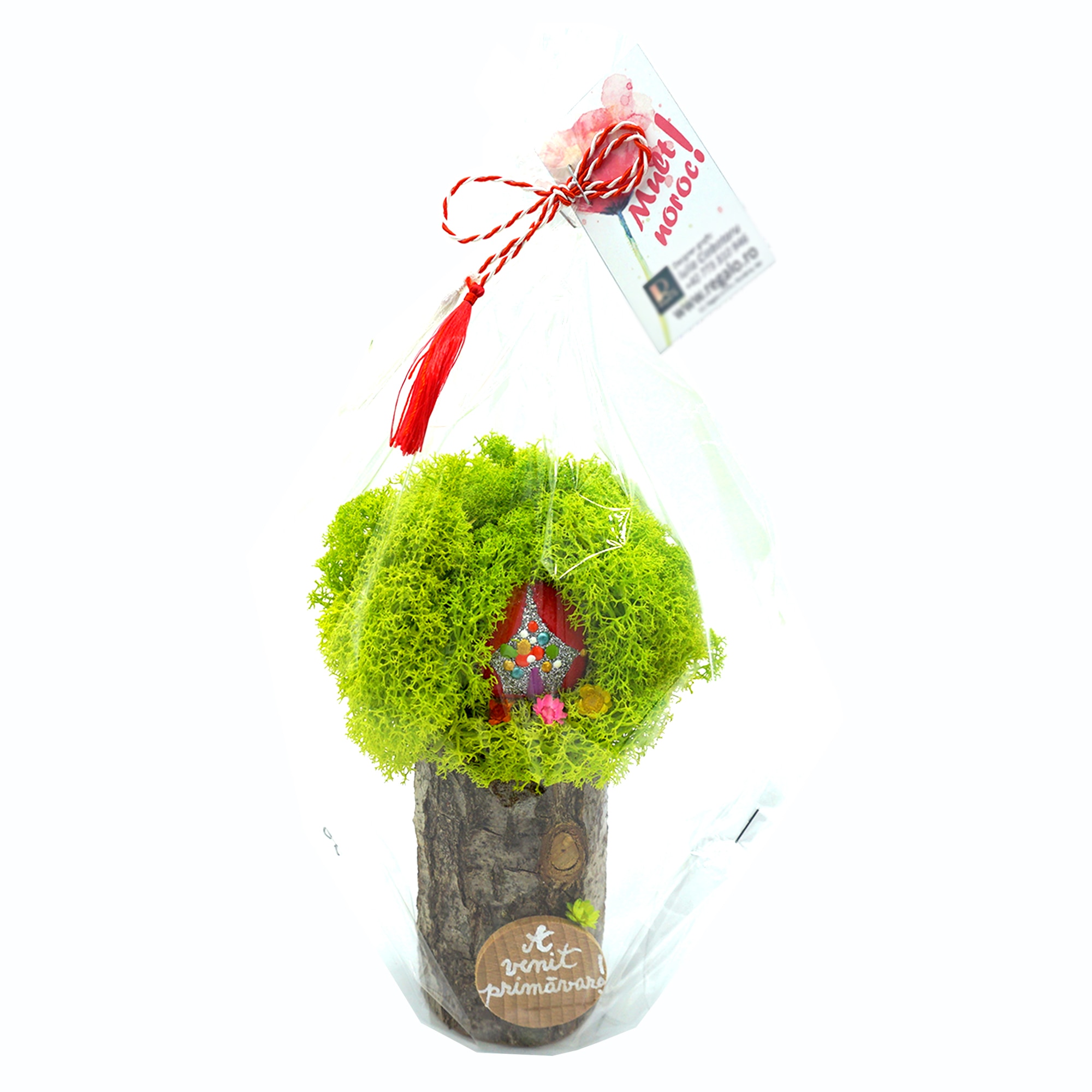 Copacel din licheni stabilizati verde primavara si vaza cu flori la ...