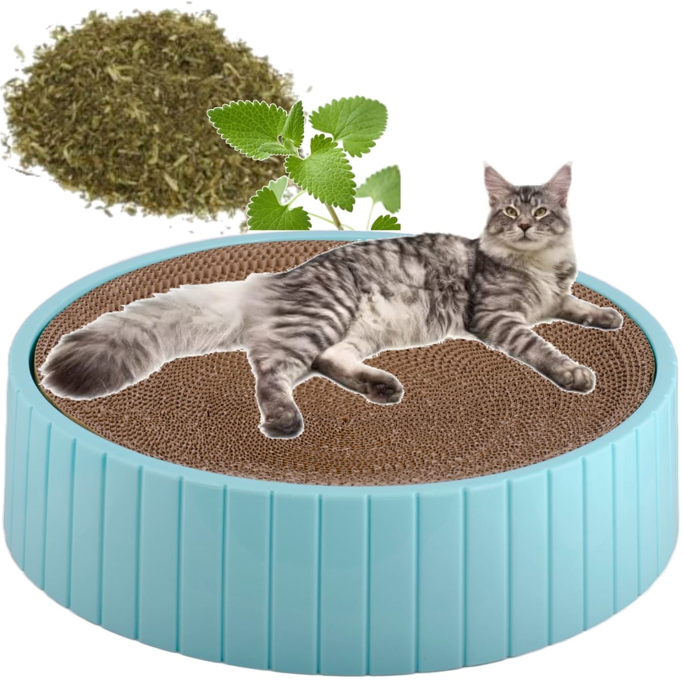 Scratcher, Rotund, Profilat, Cu posibilitatea de a schimba insertia ...