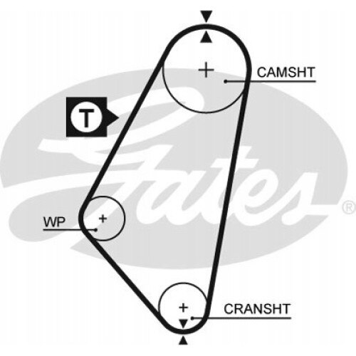Cureaua de distributie, GATES, 5083 - eMAG.ro
