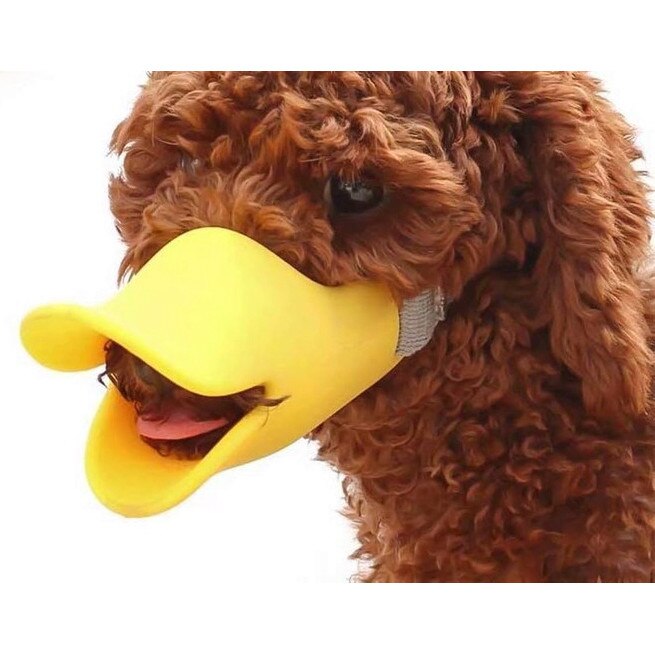 Botnita pentru caine, Silicon, Galben - eMAG.ro