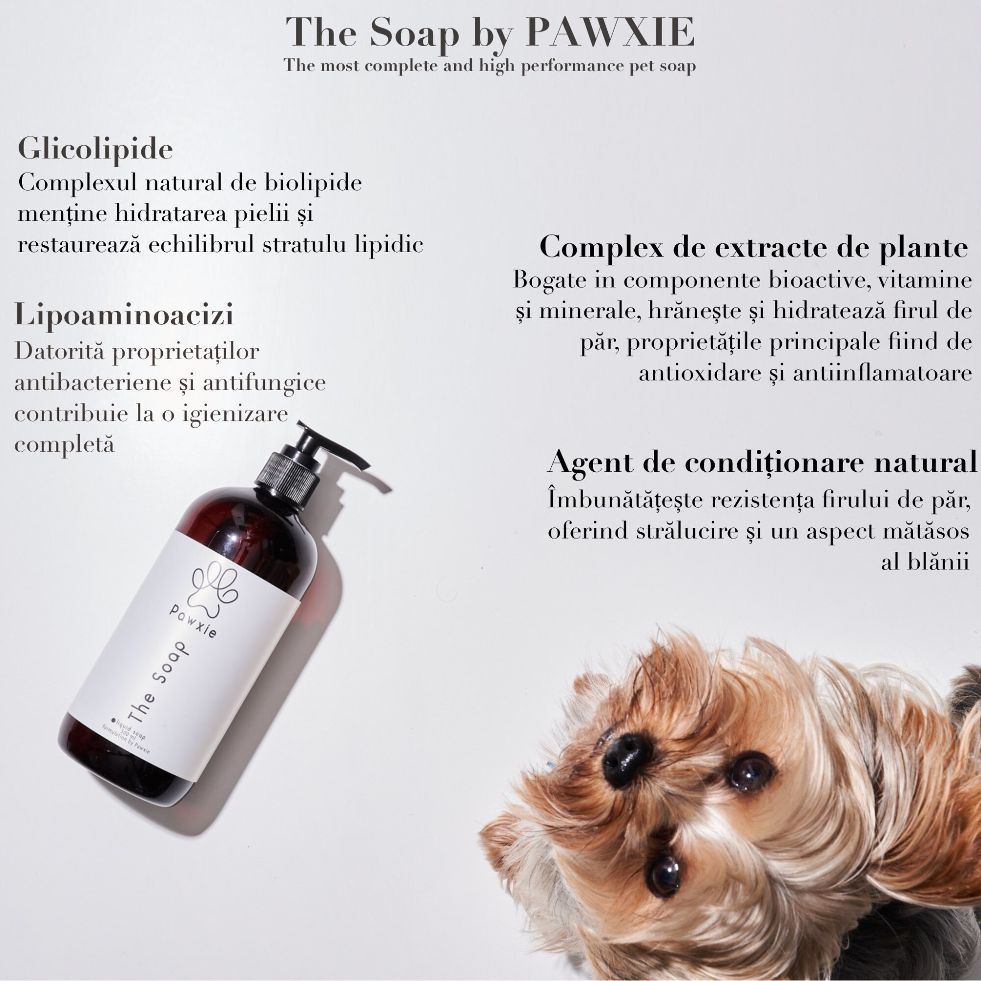 Sampon Premium pentru caini si pisici, The Soap, 5 L - eMAG.ro