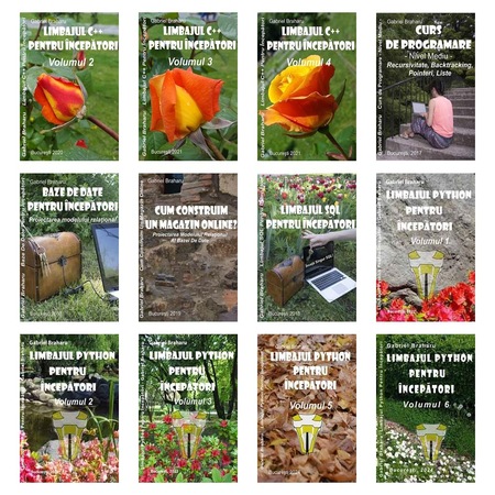 Set de 12 Carti Programare Incepatori (401), Gabriel Braharu, Colectia ...