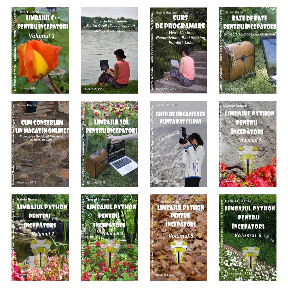 Set de 11+1 Carti Programare Incepatori (470), Gabriel Braharu ...